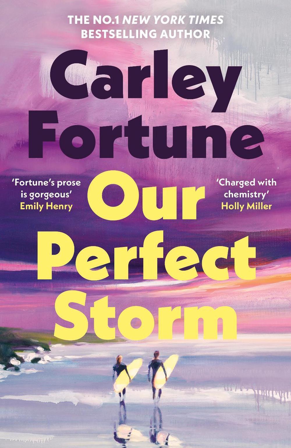 Our Perfect Storm by Carley Fortune, Hardcover, 9780241813782 | Buy ...