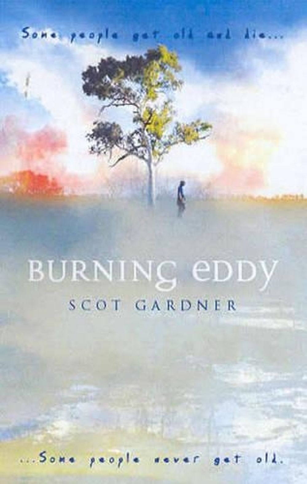 Burning Eddy by Scot Gardner, Paperback, 9780330364010 | Buy online at ...