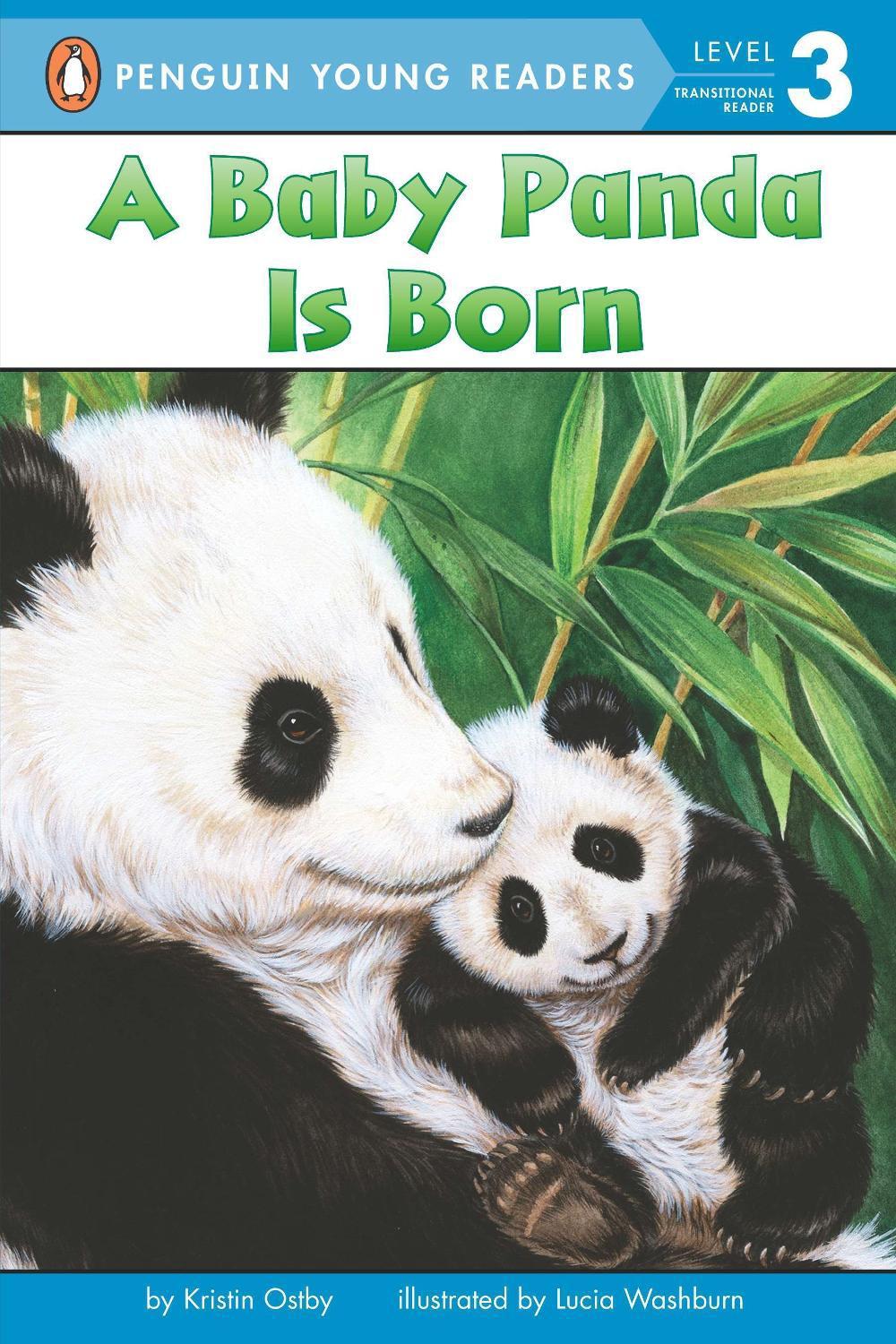 A Baby Panda Is Born by Kristin Ostby, Paperback, 9780448447209 | Buy ...