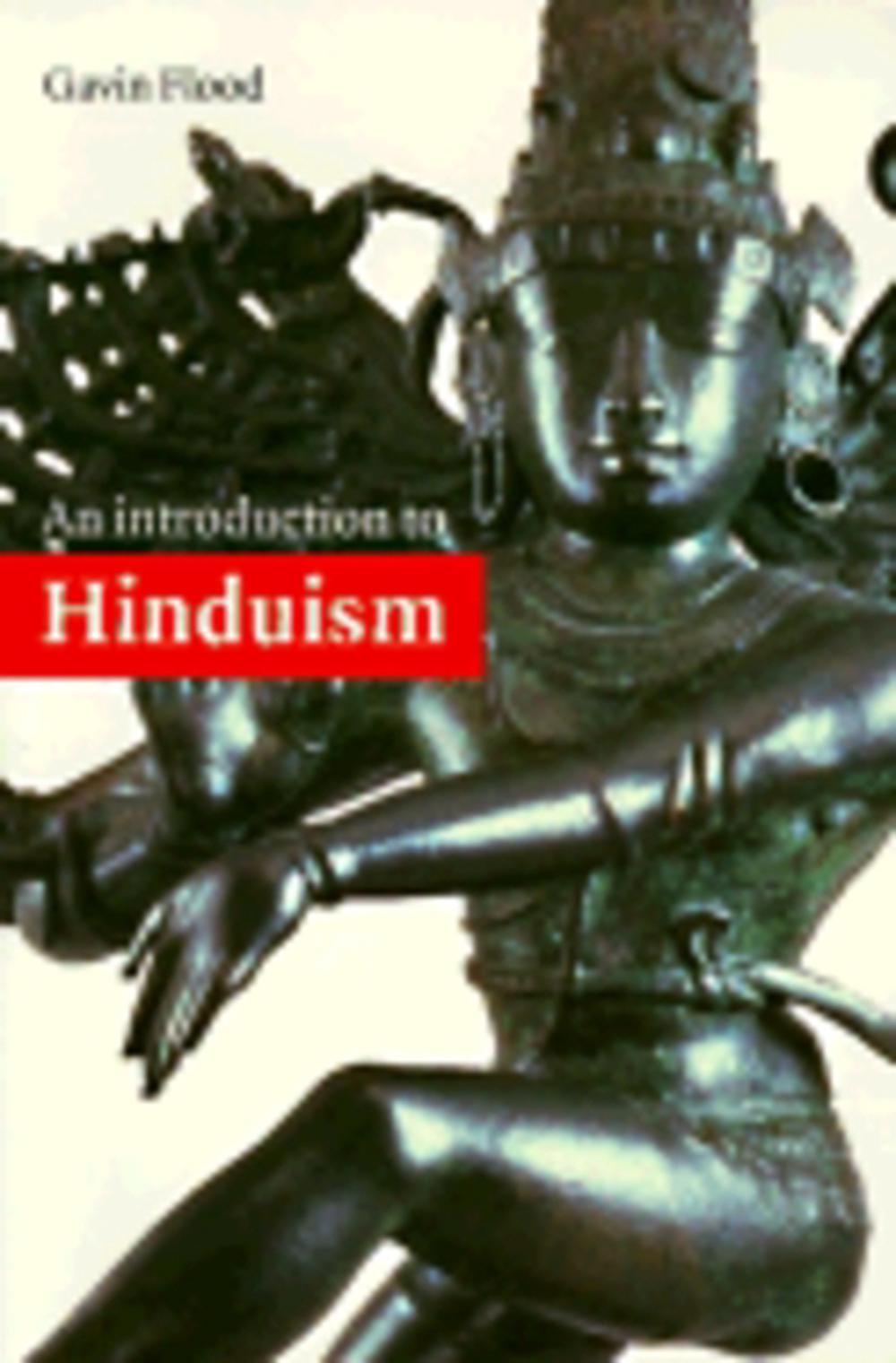 An Introduction to Hinduism by Gavin D. Flood, Paperback, 9780521438780 ...