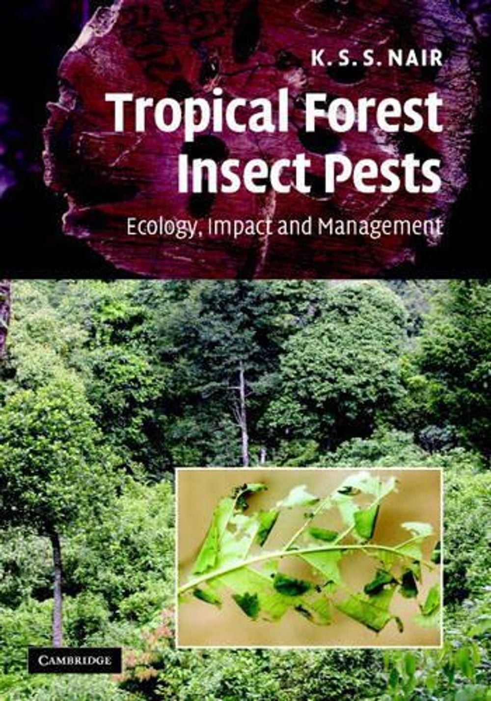 Tropical Forest Insect Pests by K.S.S. Nair, Hardcover, 9780521873321 ...