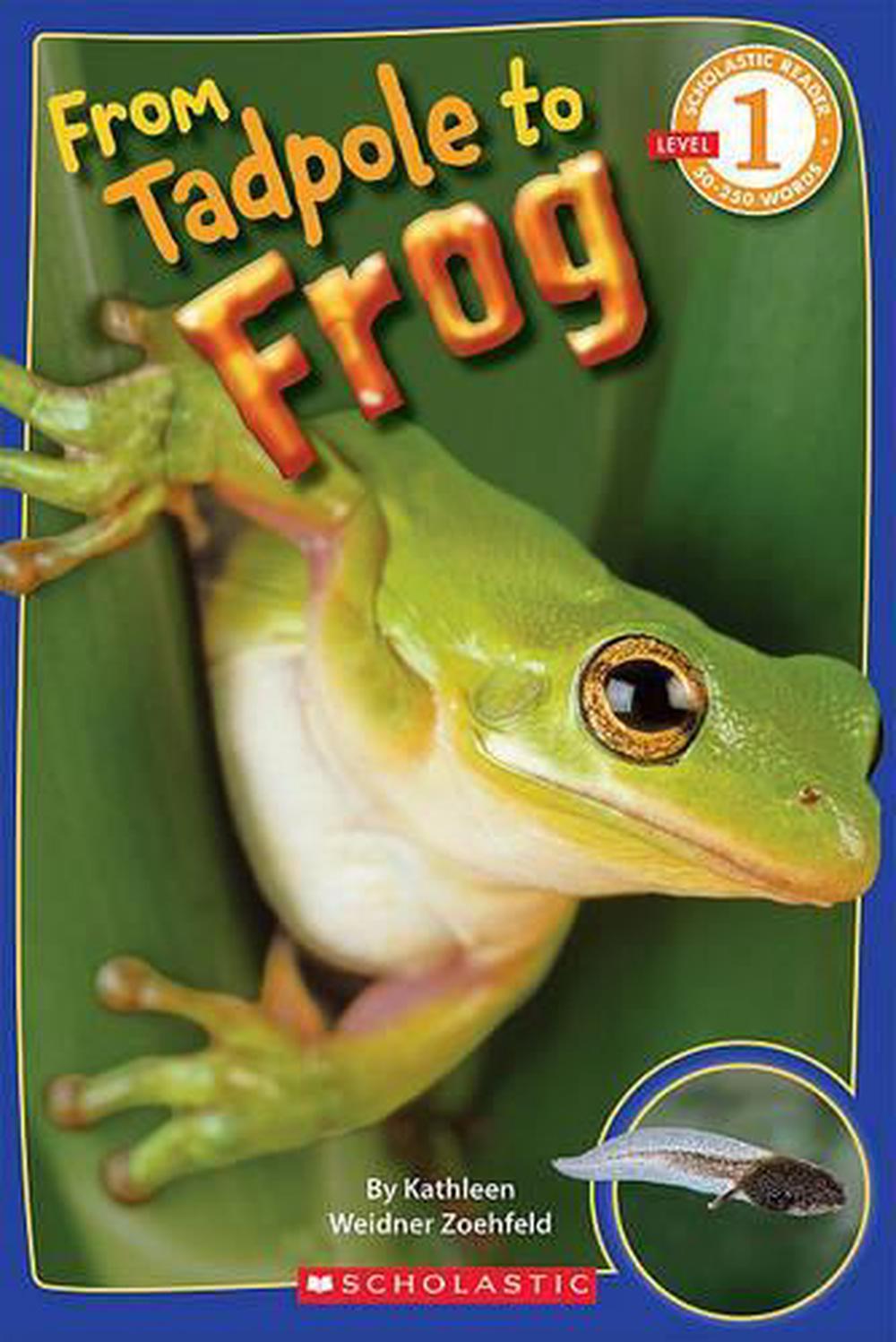 From Tadpole to Frog by Kathleen Weidner Zoehfeld, Paperback ...