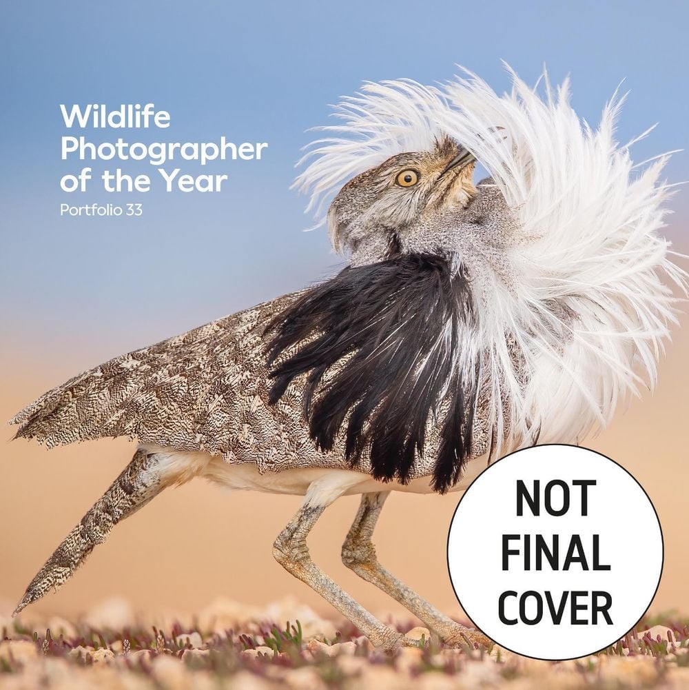 Wildlife Photographer of the Year: Portfolio 33 by Roz Kidman Cox ...
