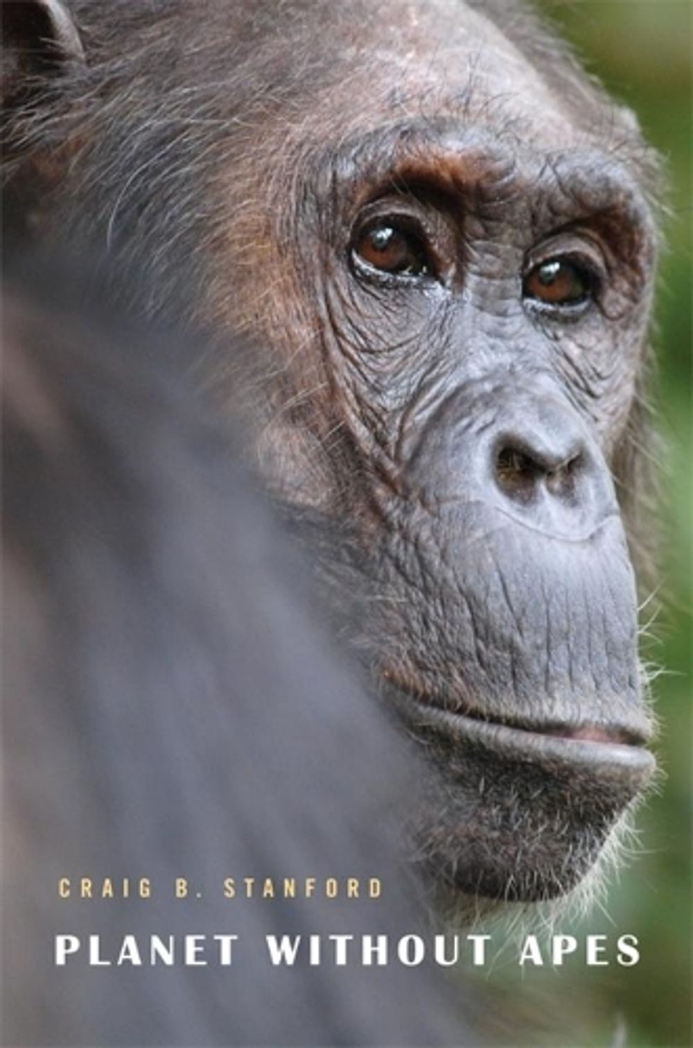 Planet Without Apes by Craig Stanford, Paperback, 9780674416840 | Buy ...