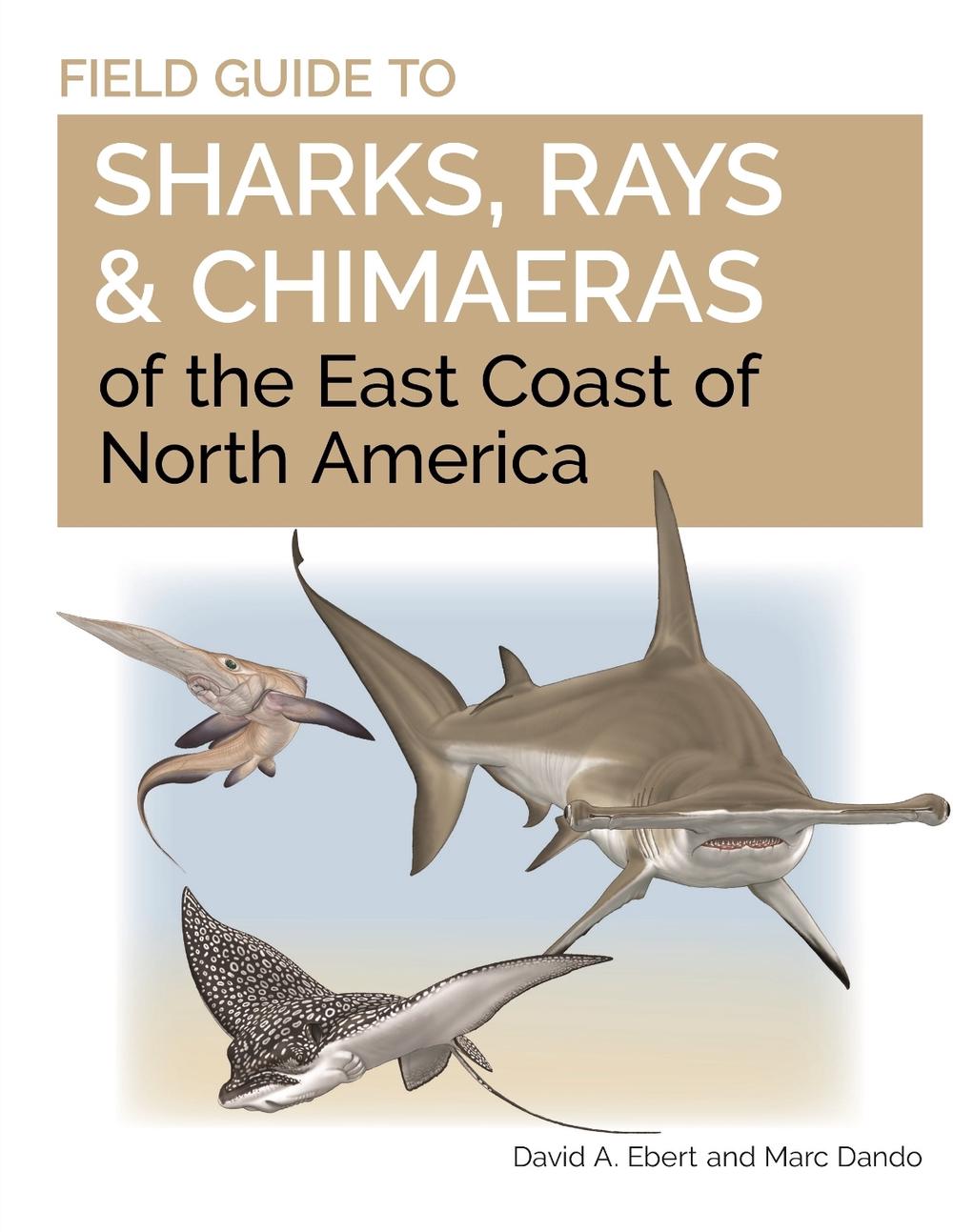 Field Guide to Sharks, Rays and Chimaeras of the East Coast of North ...