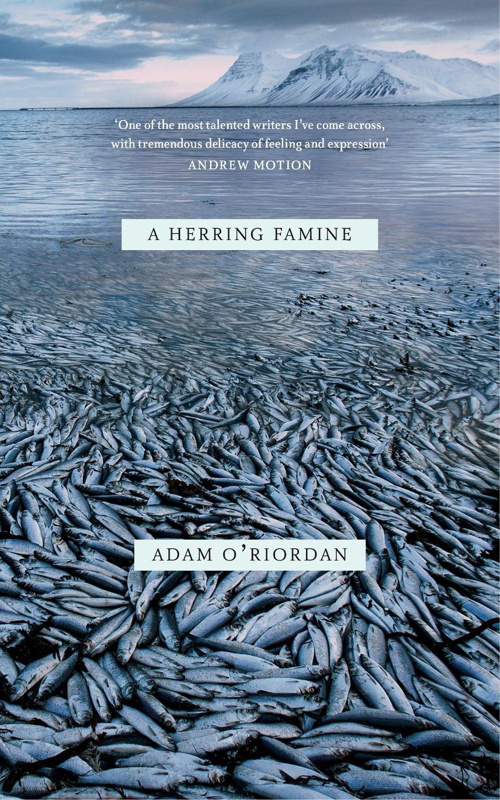 A Herring Famine by Adam O'Riordan, Paperback, 9780701187972 | Buy ...