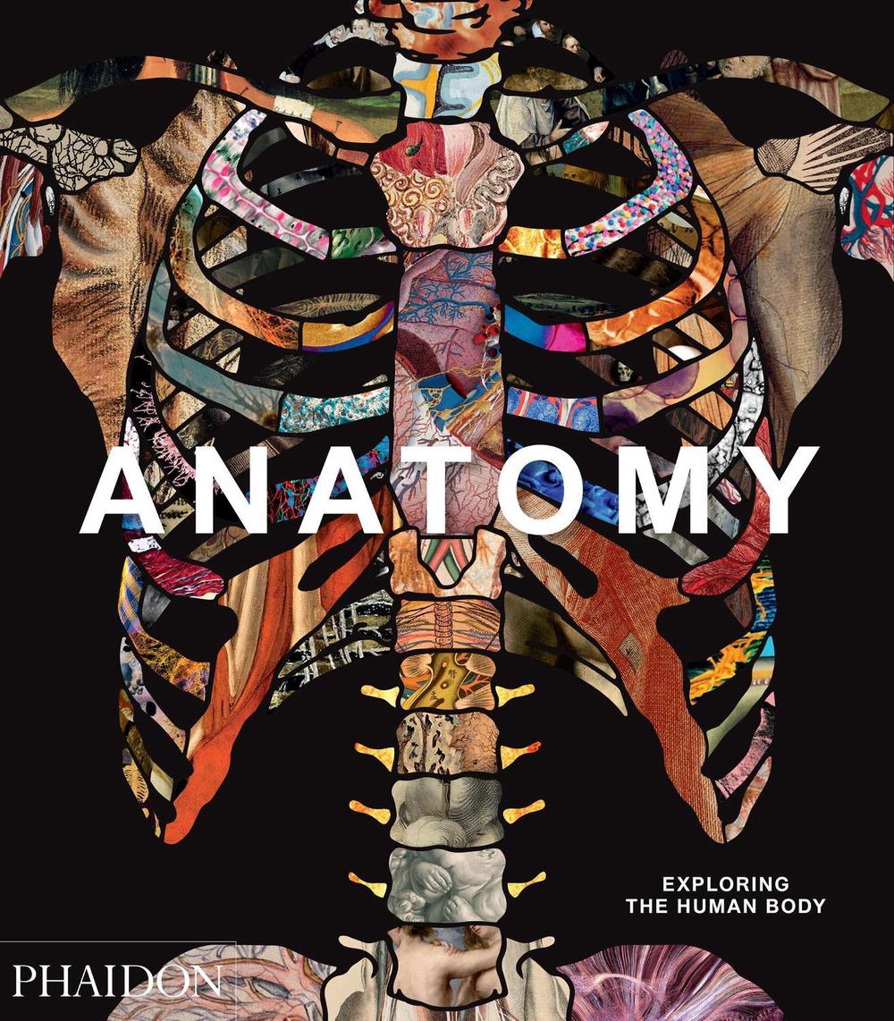 Anatomy by Phaidon Editors, Hardcover, 9780714879888 | Buy online at ...