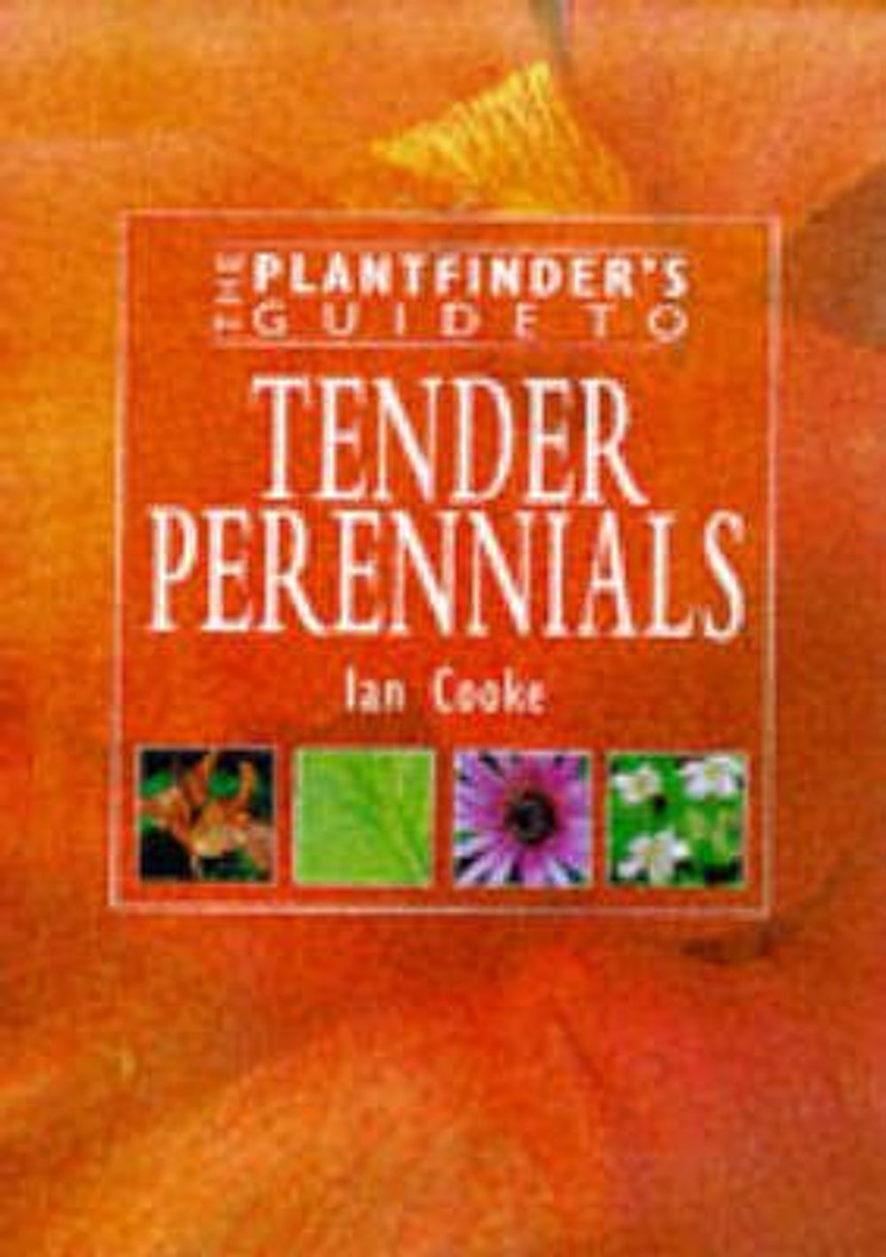 Plantfinder's Guide to Tender Perennials by Ian Cooke, Hardcover ...