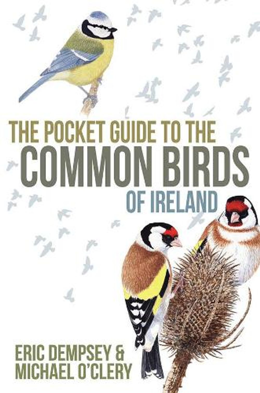 The Pocket Guide to the Common Birds of Ireland by Eric Dempsey ...
