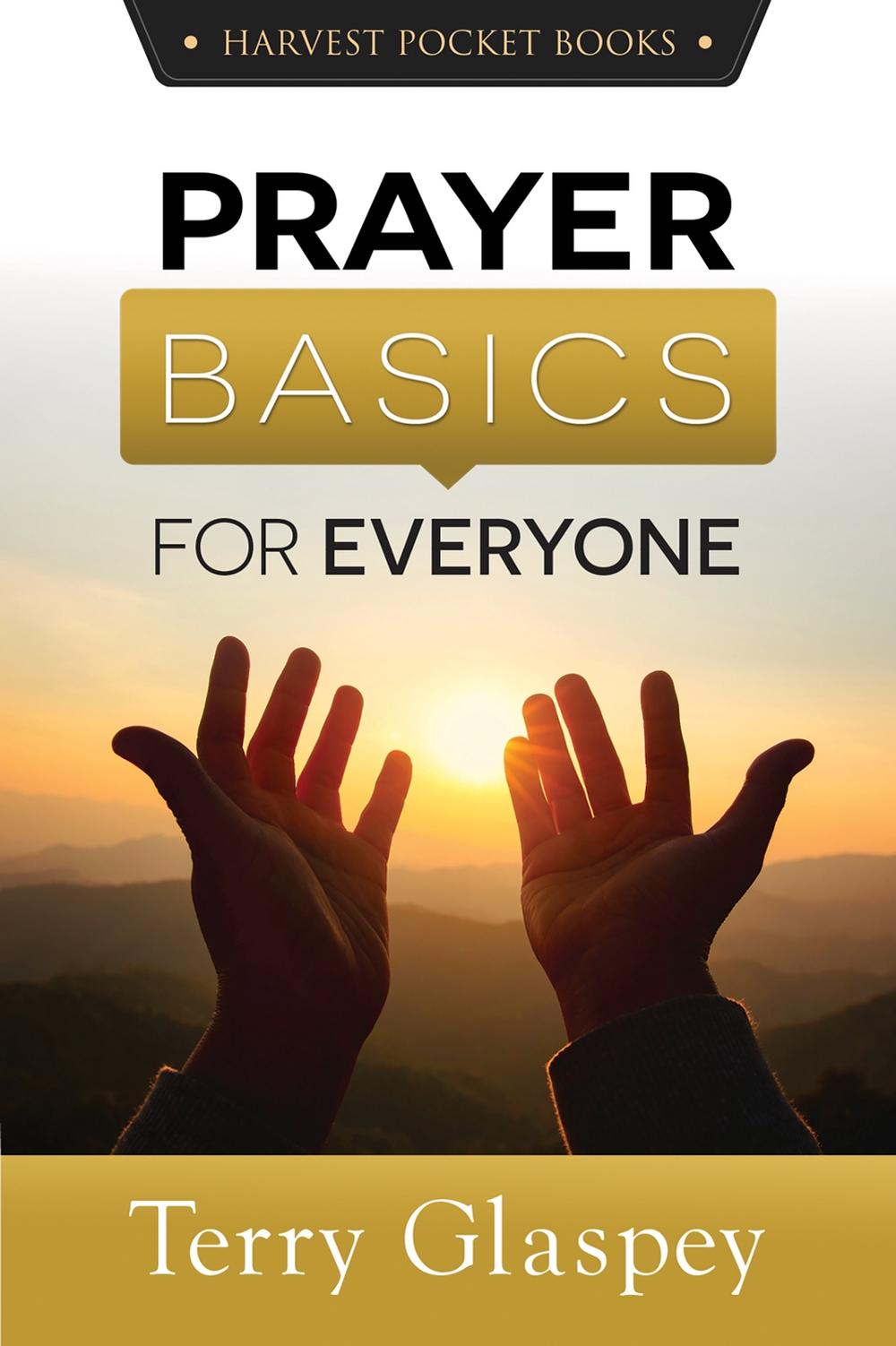 Prayer Basics for Everyone by Terry Glaspey, Paperback, 9780736989688 ...