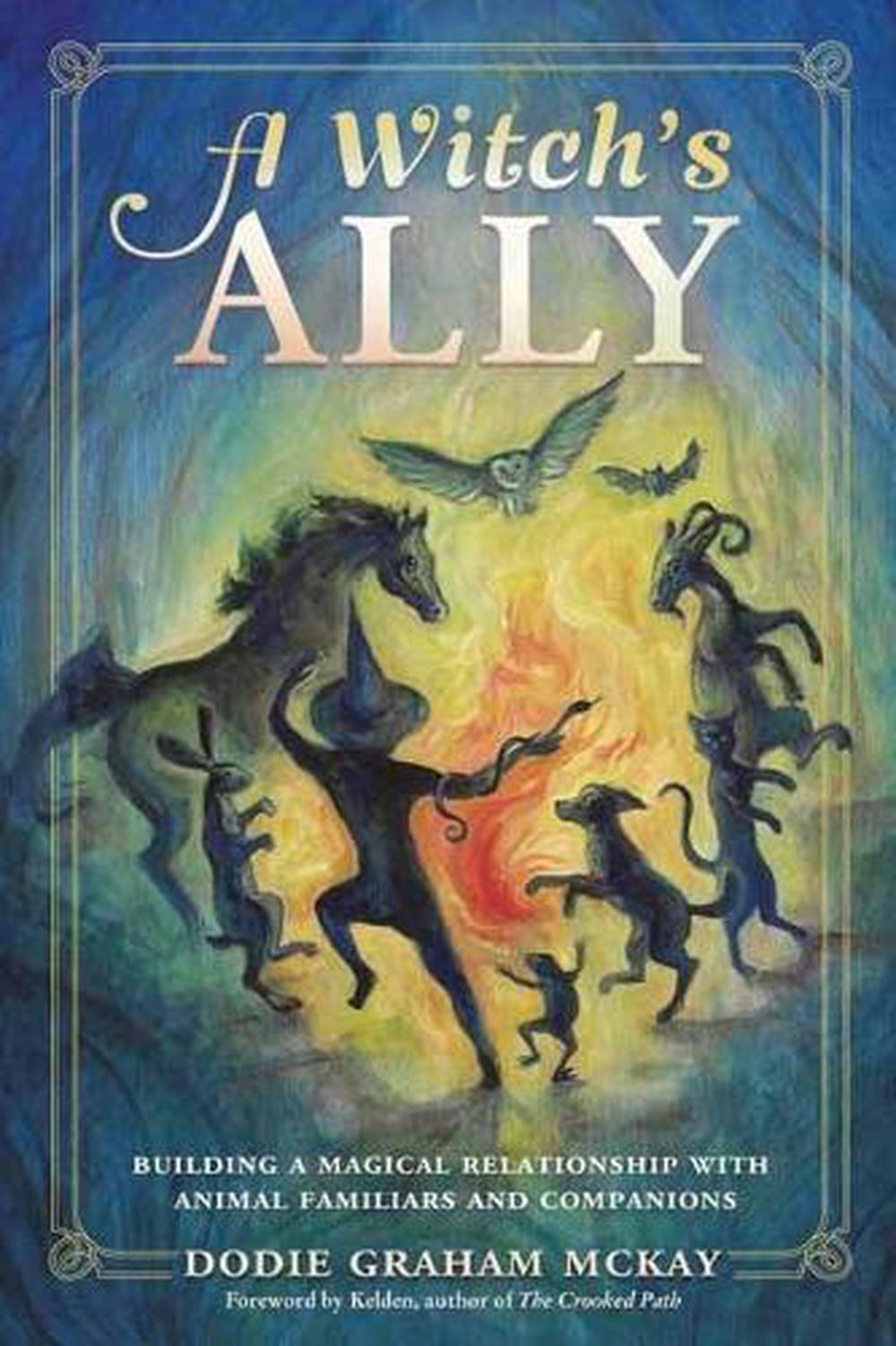 A Witch's Ally by Dodie Graham McKay, Paperback, 9780738770116 | Buy ...