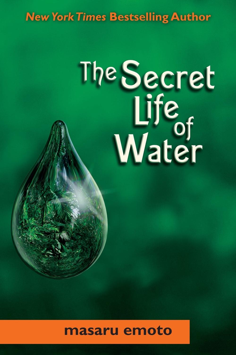 Secret Life of Water by Masaru Emoto, Paperback, 9780743290326 | Buy ...