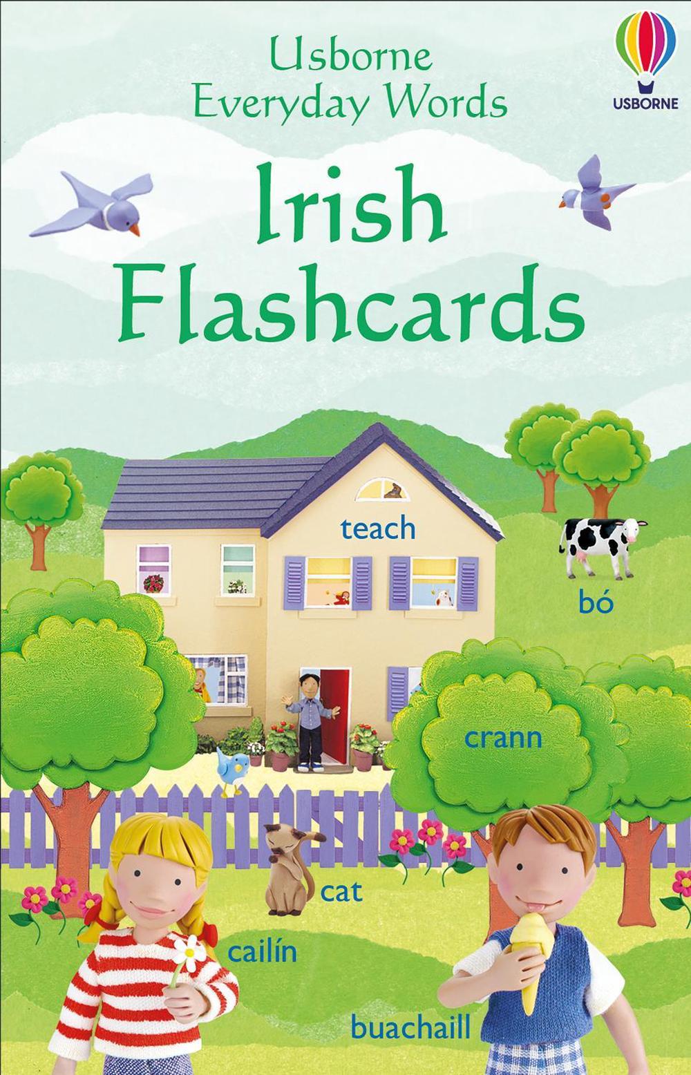 Everyday Words in Irish Flashcards by Felicity Brooks, Cards ...
