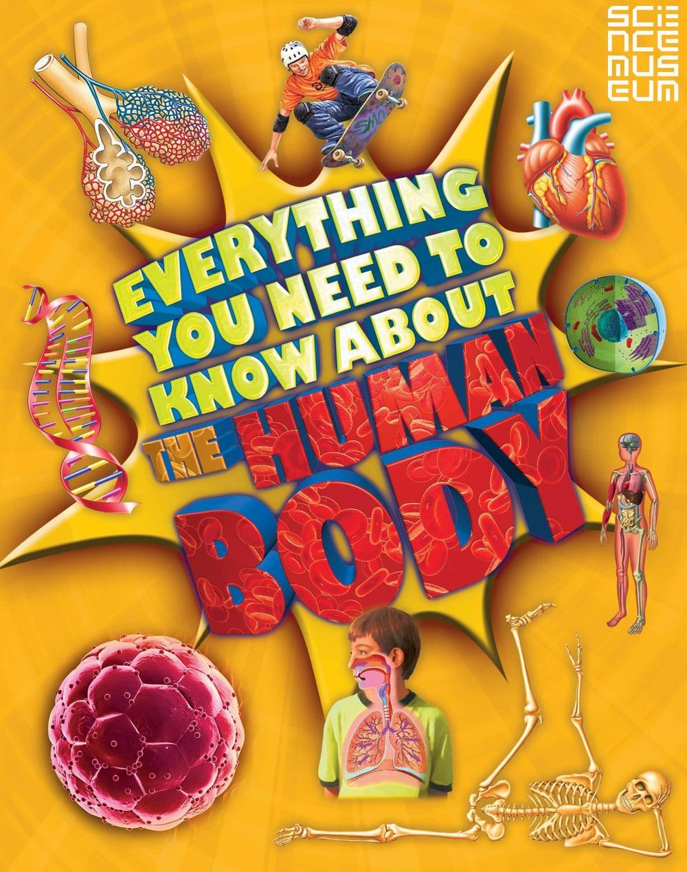 Everything You Need To Know About The Human Body by Patricia Macnair ...