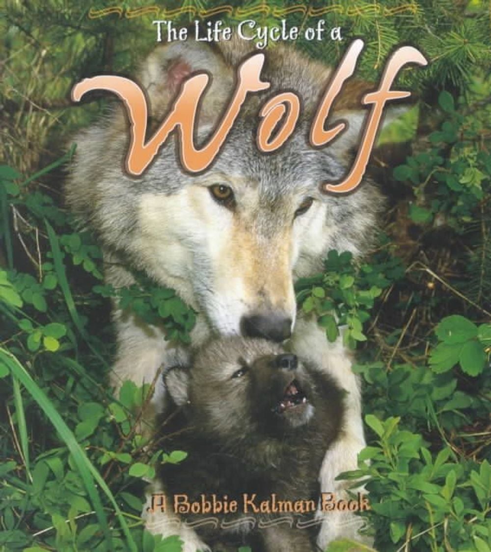 The Life Cycle of the Wolf by Bobbie Kalman, Paperback, 9780778706878 ...