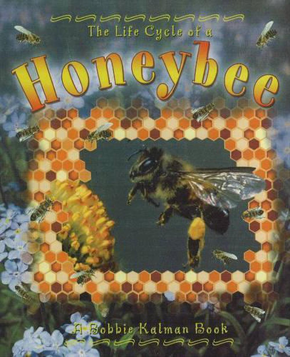 The Life Cycle of the Honeybee by Amanda Bishop, Paperback ...