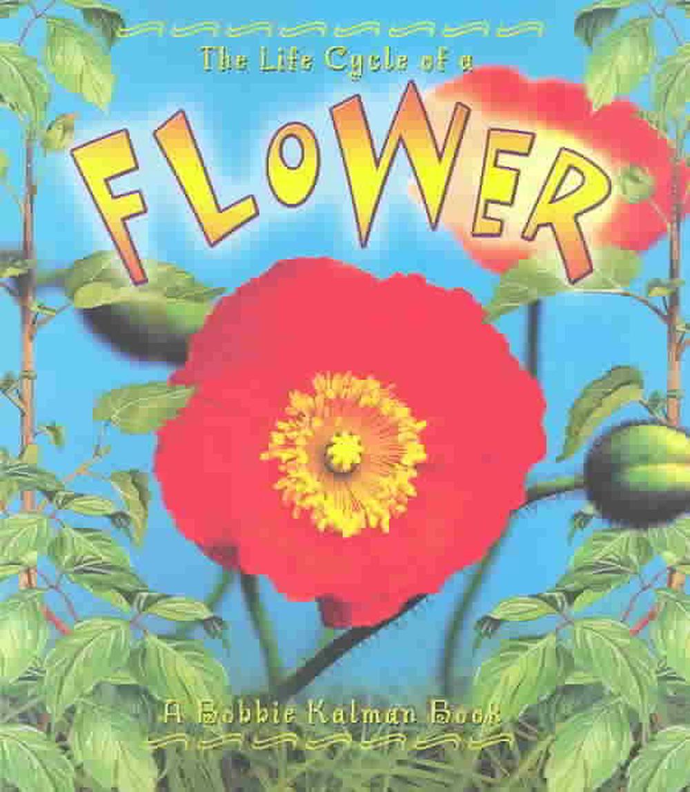 The Life Cycle of the Flower by Amanda Bishop, Paperback, 9780778706977 ...