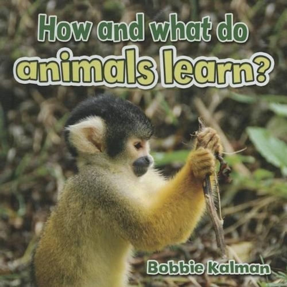 How and What Do Animals Learn by Bobbie Kalman, Paperback ...