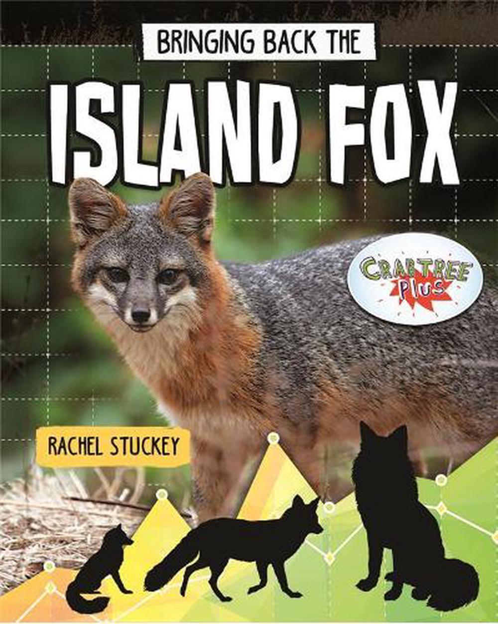 Bringing Back the Island Fox by Rachel Stuckey, Paperback ...