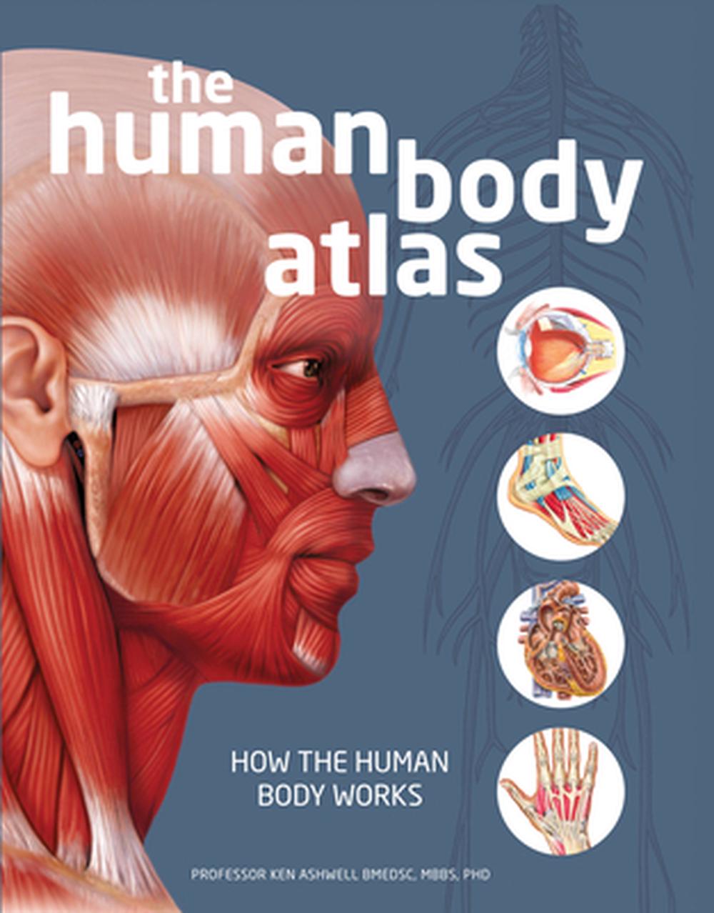 The Human Body Atlas How The Human Body Works By National Geographic