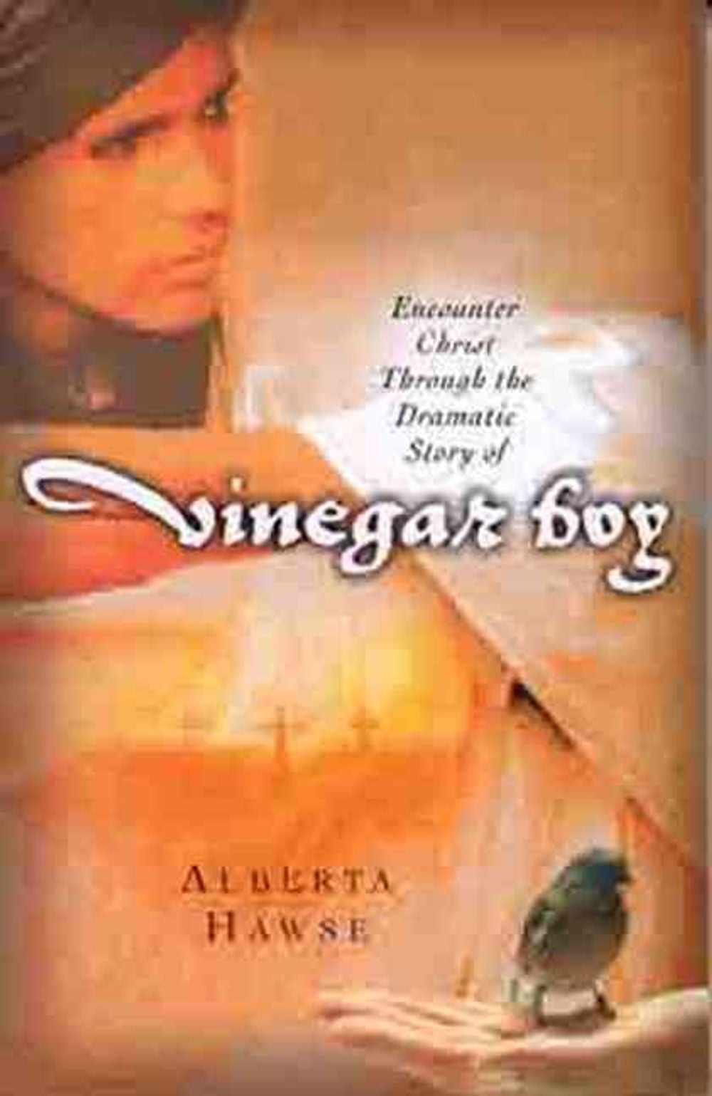 Encounter Christ through the Dramatic Story of Vinegar Boy by Alberta ...