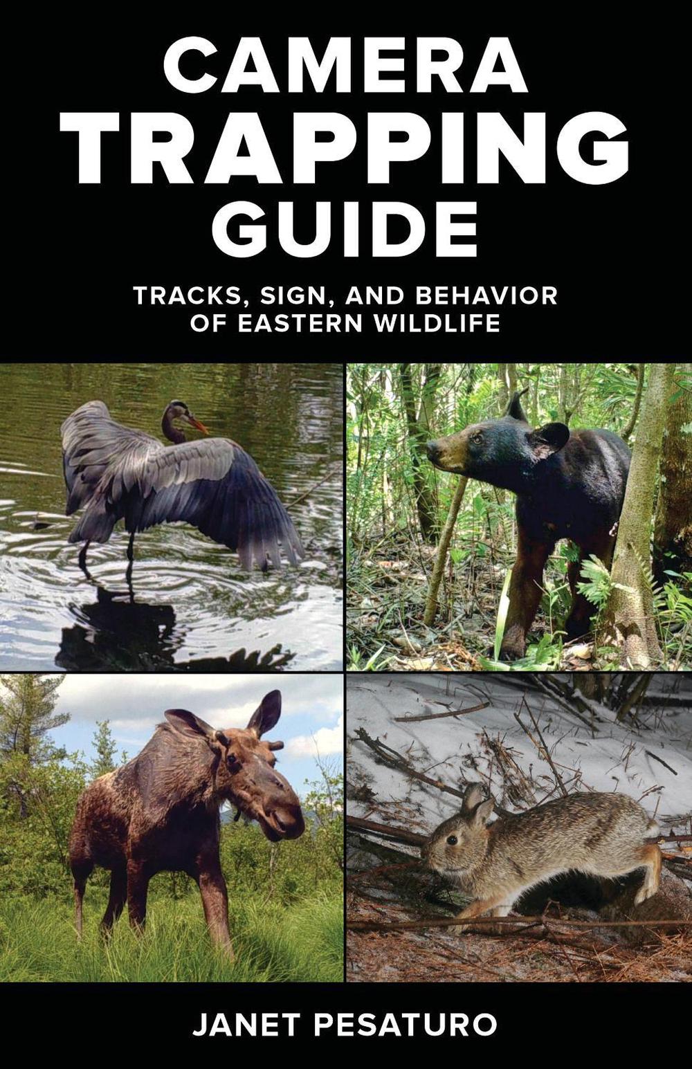 Camera Trapping Guide by Janet Pesaturo, Paperback, 9780811719063 | Buy ...