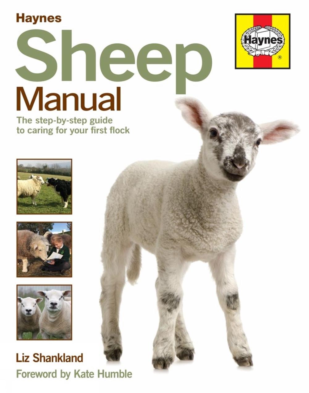Sheep Manual by Liz Shankland, Hardcover, 9780857337702 | Buy online at ...