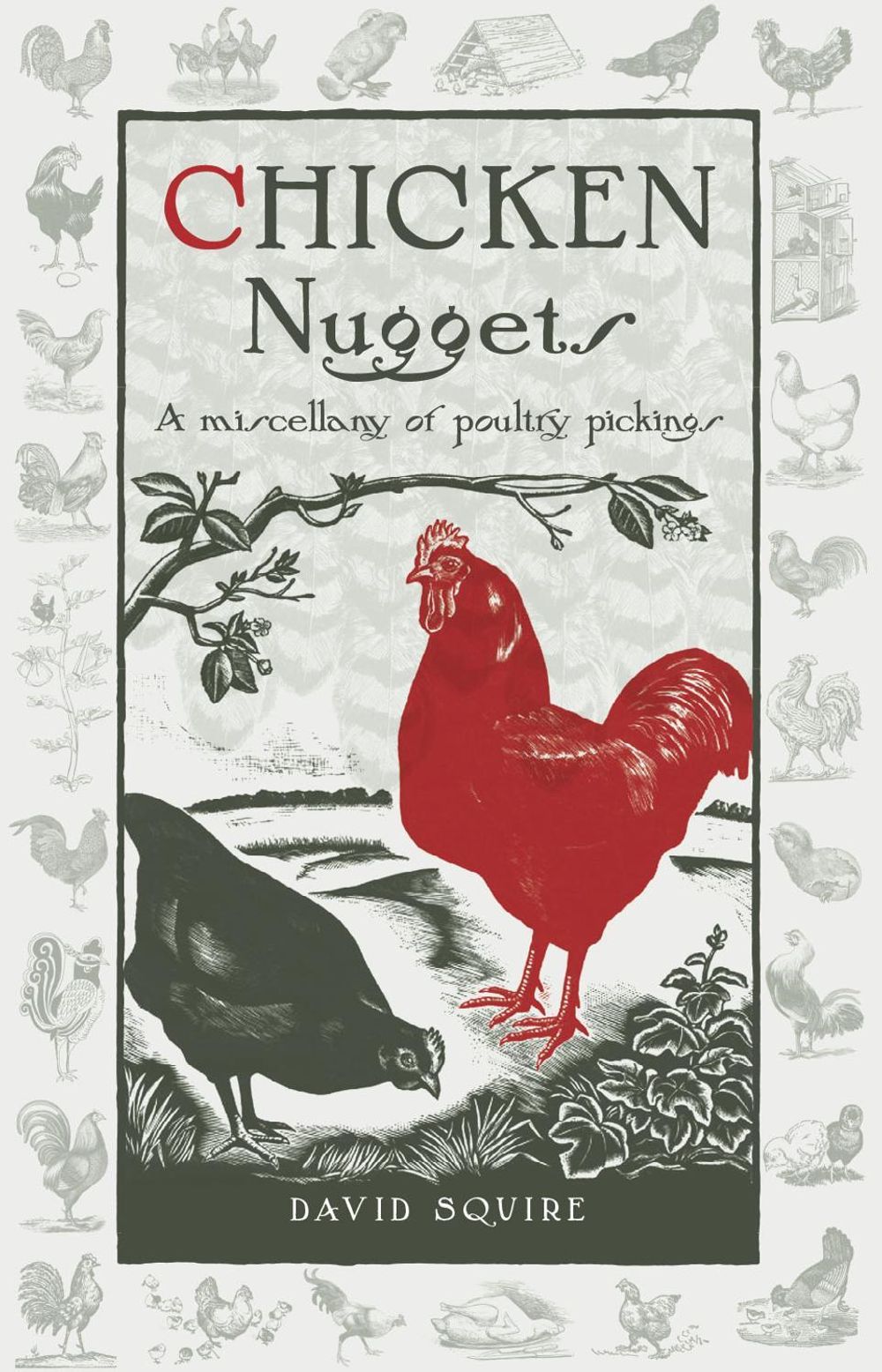 Chicken Nuggets by David Squire, Hardcover, 9780857840929 | Buy online ...