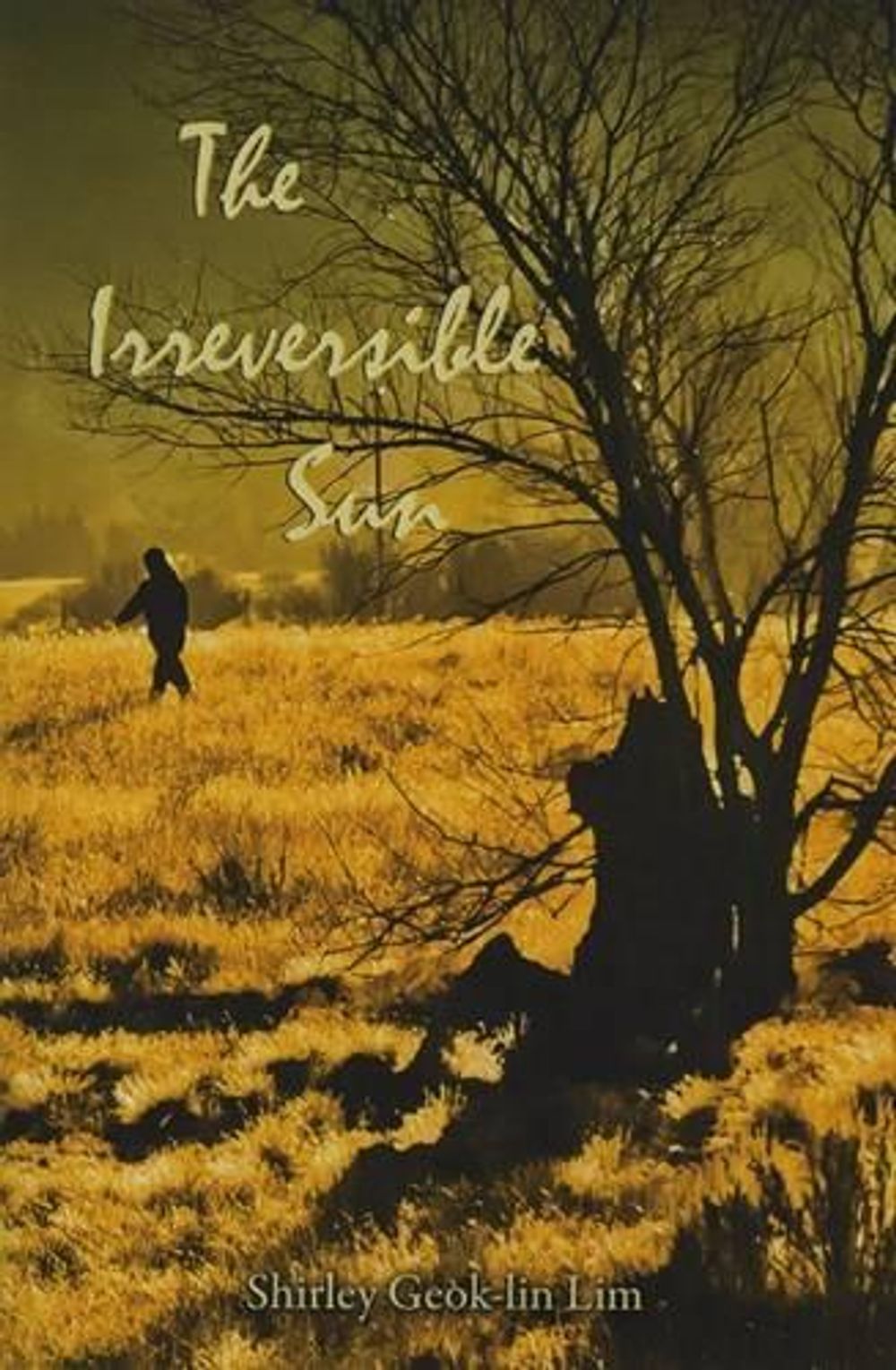 The Irreversible Sun by Shirley Geok-lin Lim, Paperback, 9780991074266 ...