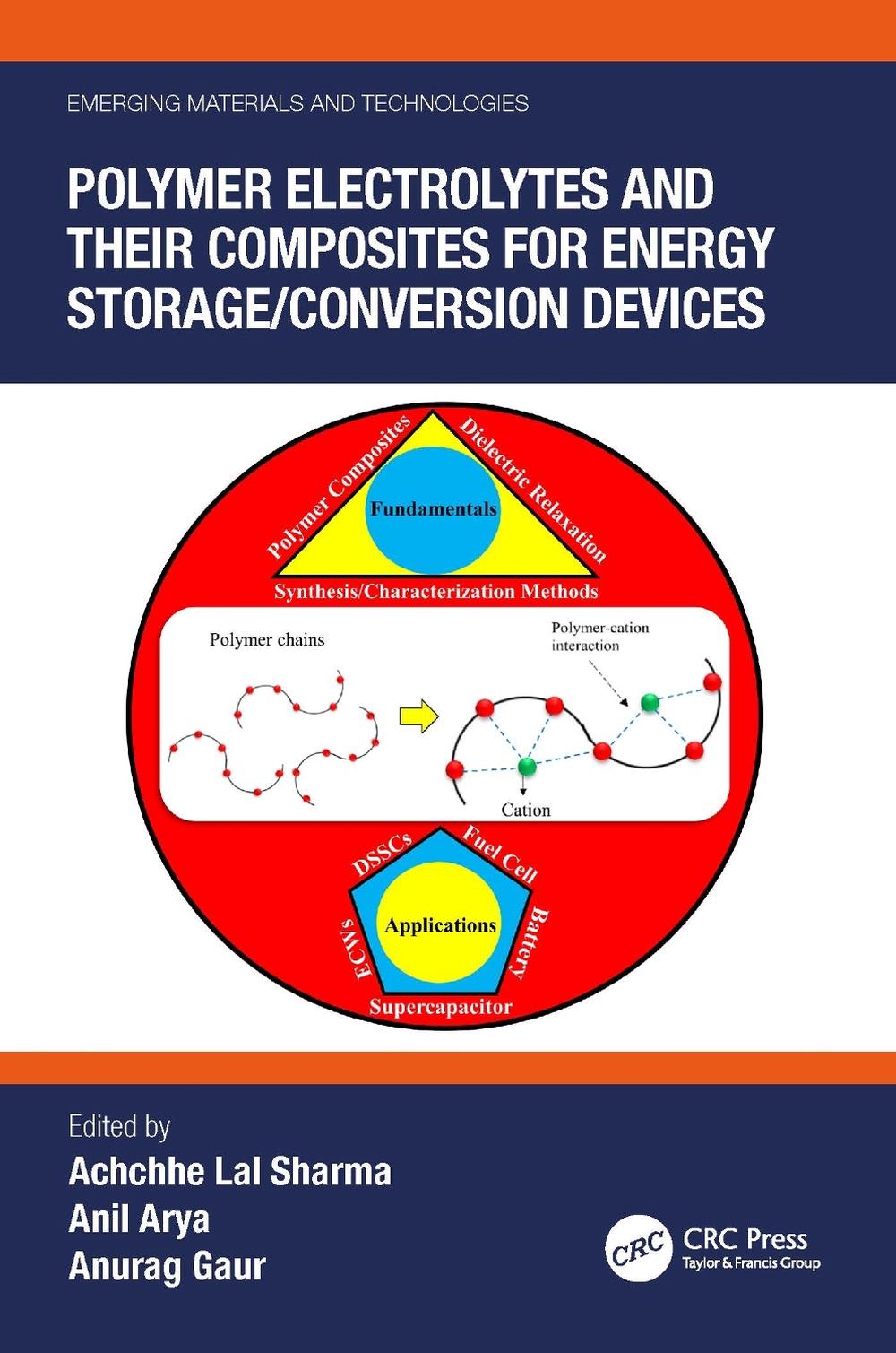 Polymer Electrolytes and their Composites for Energy Storage/Conversion ...