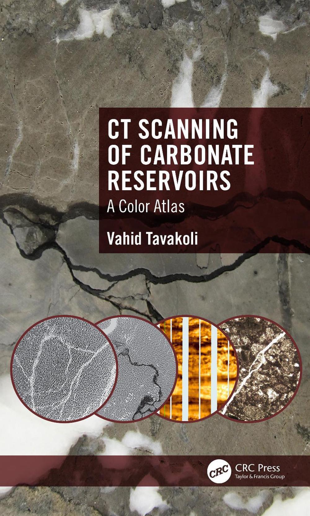 CT Scanning of Carbonate Reservoirs by Vahid Tavakoli, Hardcover ...
