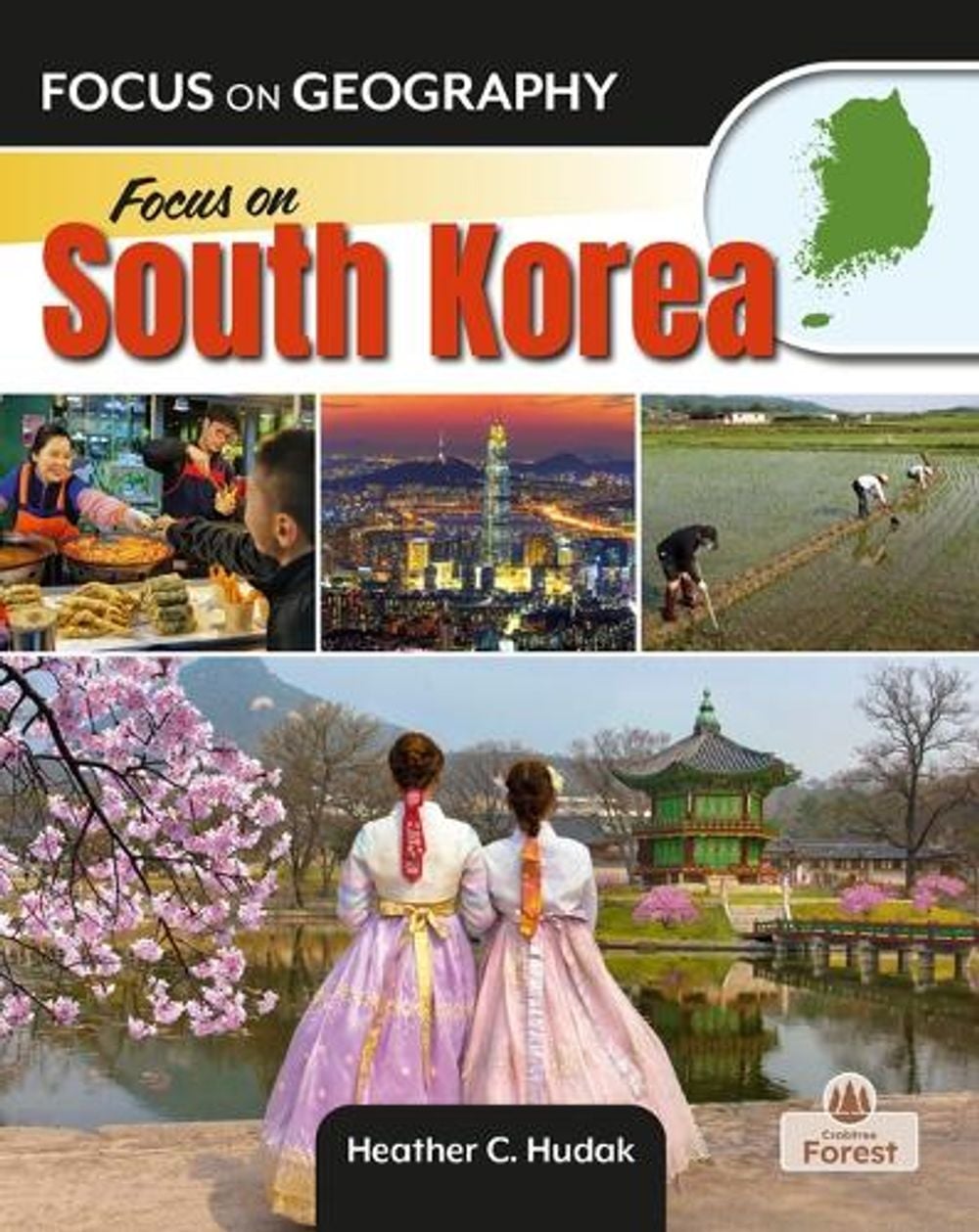 Focus on South Korea by Heather C. Hudak, Paperback, 9781039663770 ...