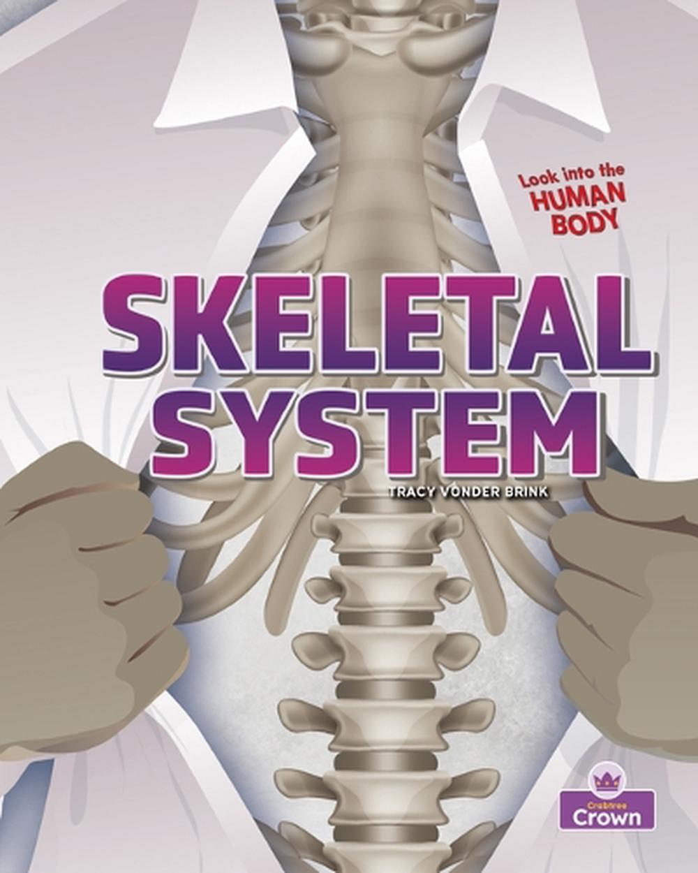 Skeletal System by Tracy Vonder Brink, Hardcover, 9781039800212 | Buy ...