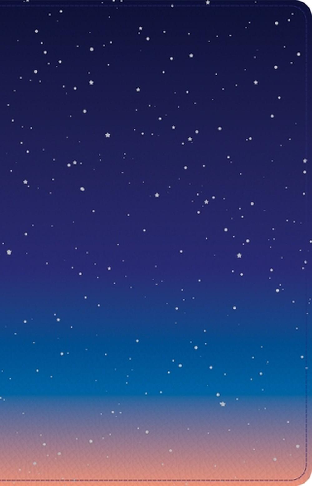 CSB Kids Bible, Thinline Edition, Space LeatherTouch by Catherine ...