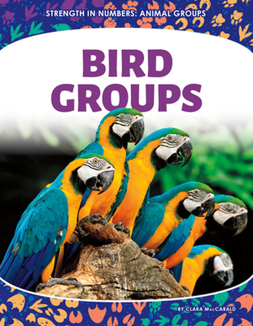 Bird Groups by Clara Maccarald, Hardcover, 9781098297251 | Buy online ...