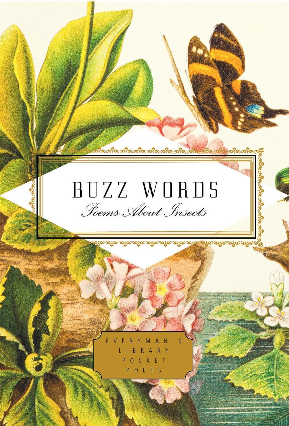 Buzz Words by Kimiko Hahn, Hardcover, 9781101908266 | Buy online at The ...