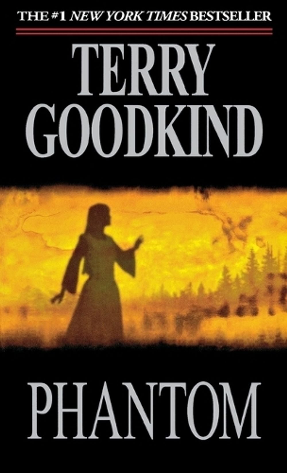 Phantom by Terry Goodkind, Paperback, 9781250806697 | Buy online at The ...