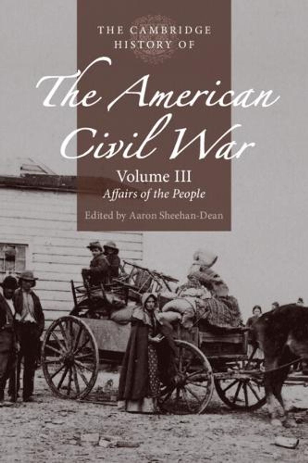 The Cambridge History of the American Civil War: Volume 3, Affairs of ...