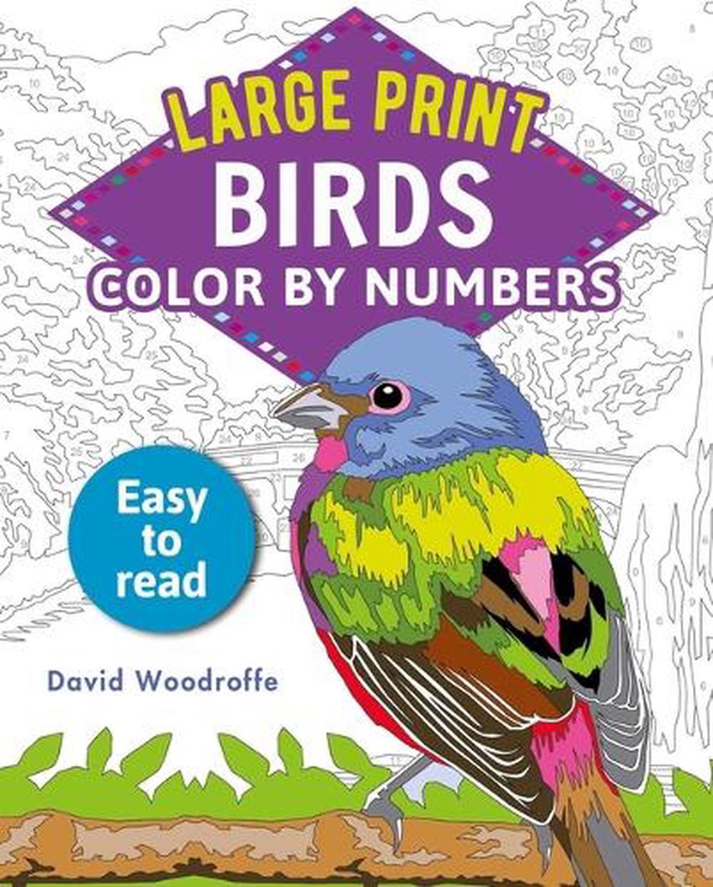 Large Print Color by Numbers Birds | Buy online at The Nile