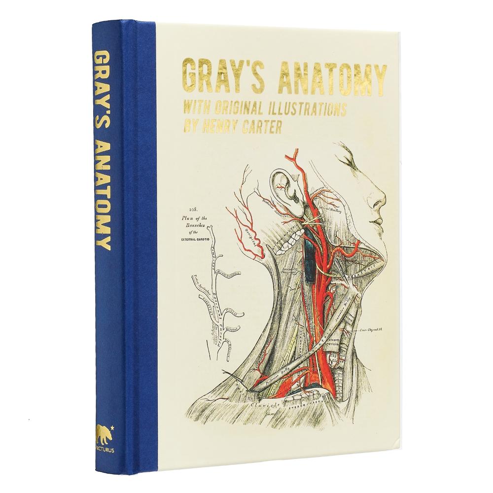 Gray's Anatomy by Henry Gray, Hardcover, 9781398819283 | Buy online at ...