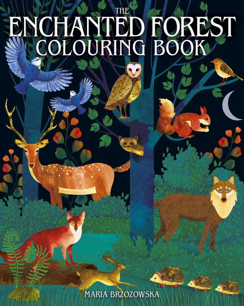 The Enchanted Forest Colouring Book by Maria Brzozowska, Paperback ...