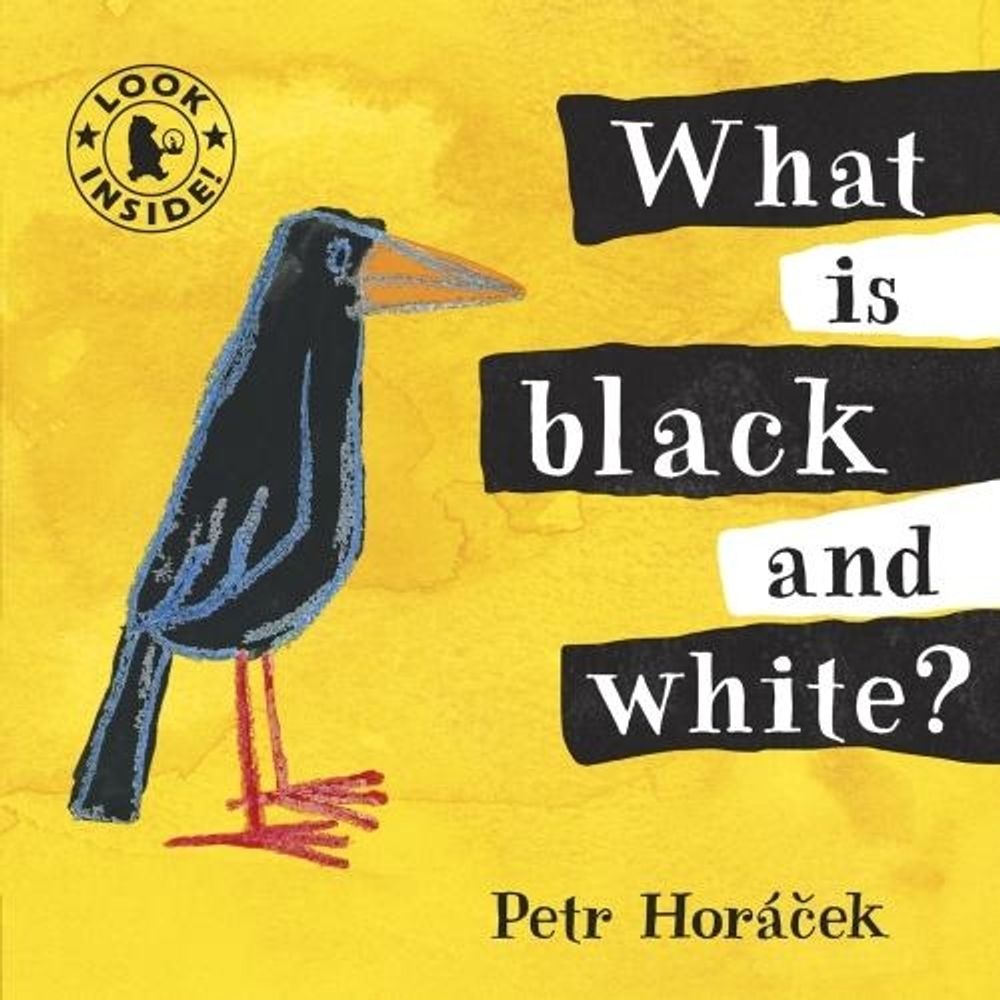 What Is Black and White? by Petr Horácek, Board Book, 9781406325126 ...