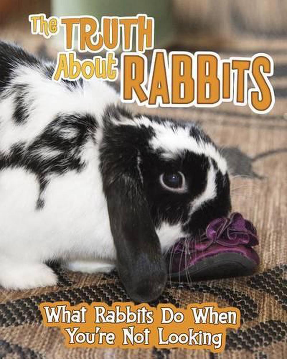 The Truth about Rabbits by Mary Colson, Hardcover, 9781410986085 | Buy ...