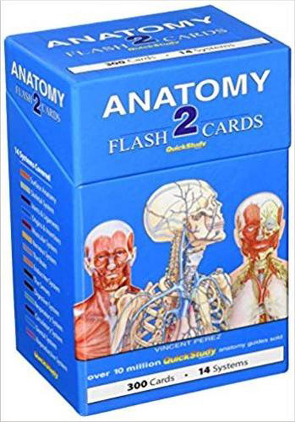 Anatomy 2 Flash Cards (300 cards) by Vincent Perez, Cards ...