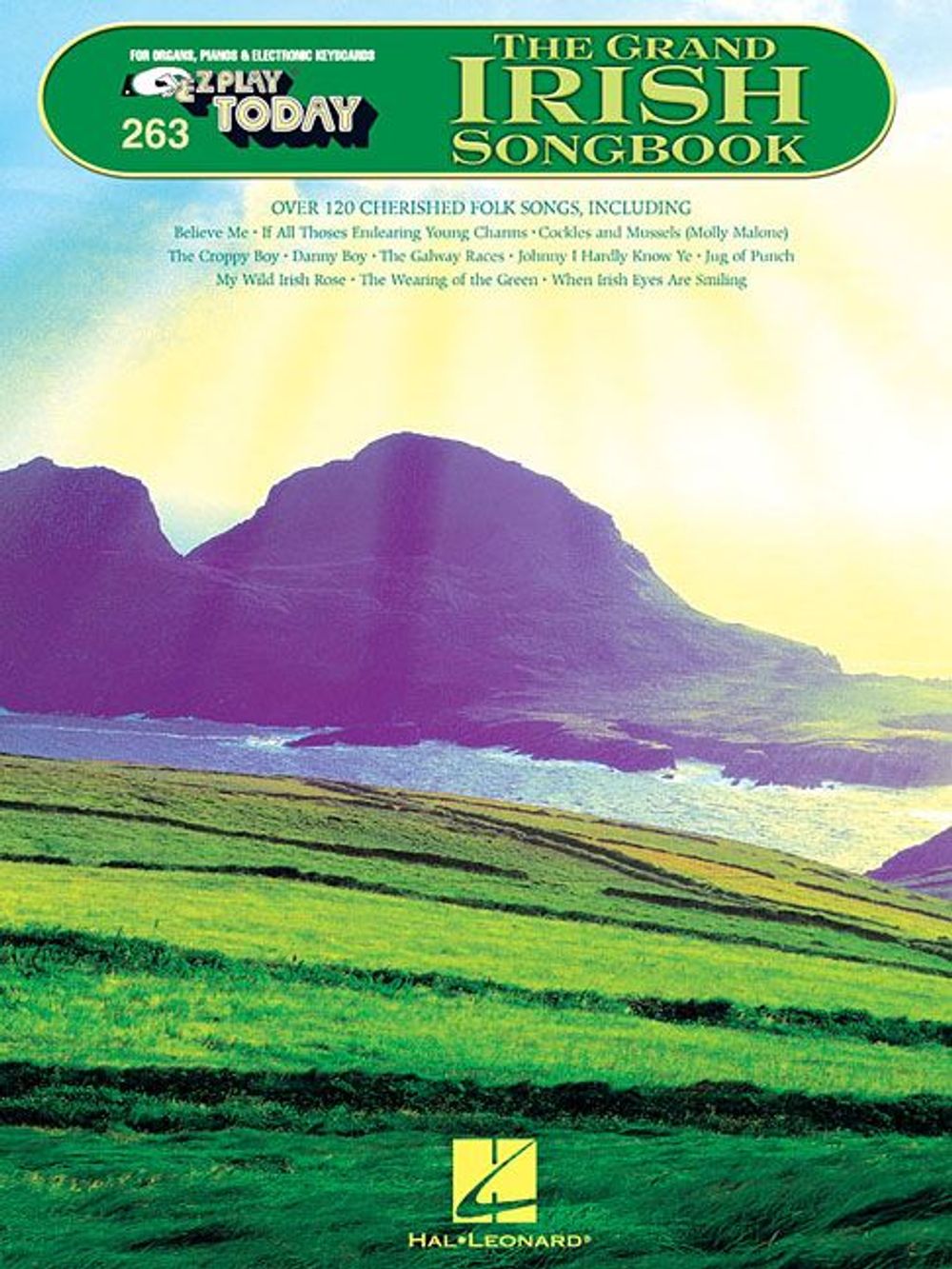 The Grand Irish Songbook, Paperback, 9781423426448 | Buy online at The Nile