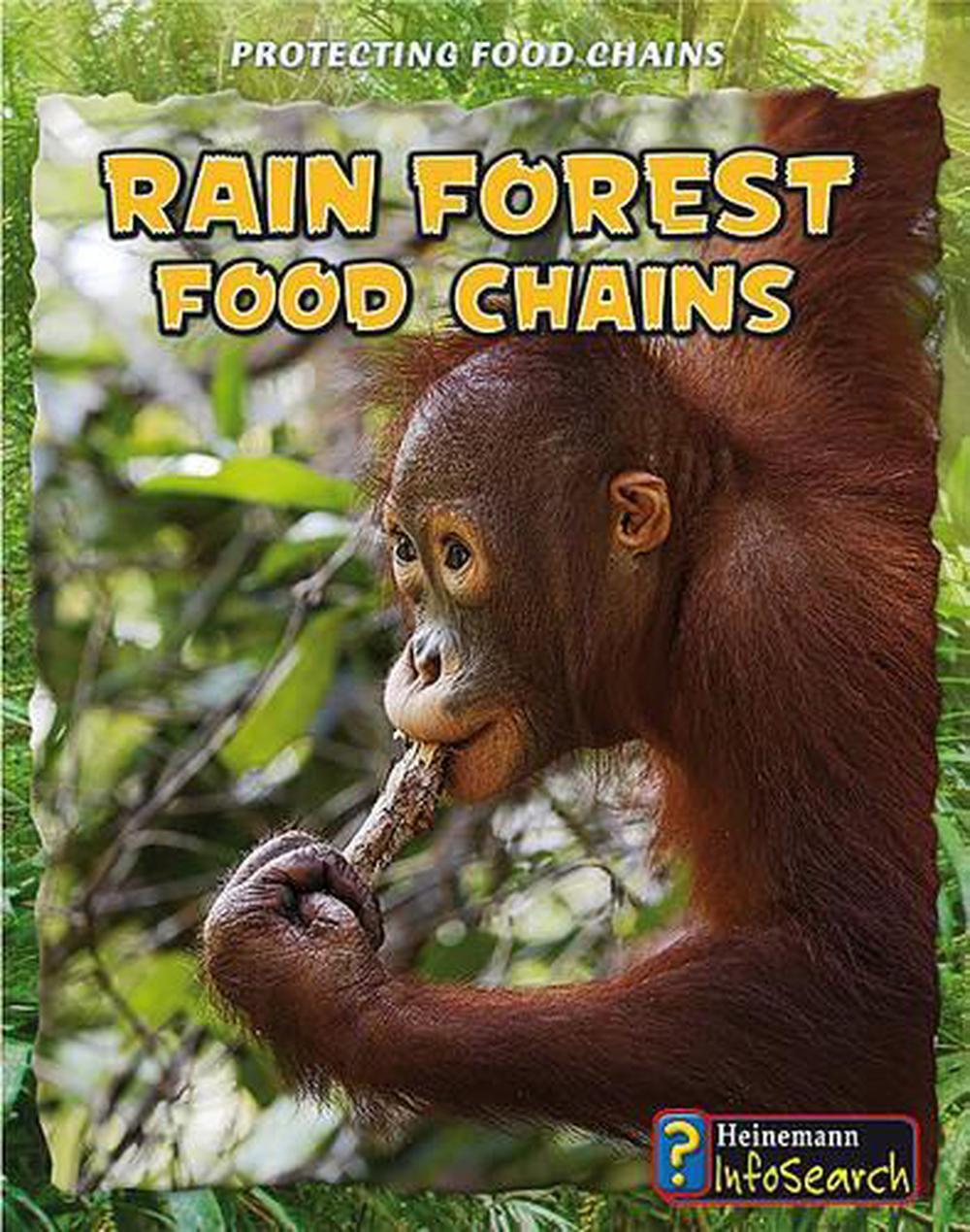 Protecting Food Chains Rain Forest Food Chains by Heidi Moore ...