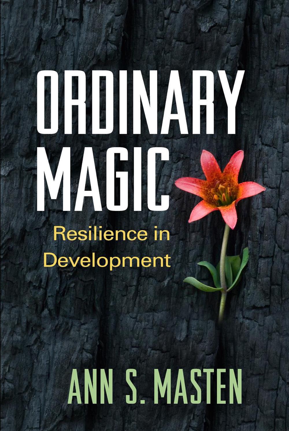 Ordinary Magic by Ann S. Masten, Paperback, 9781462523719 | Buy online ...