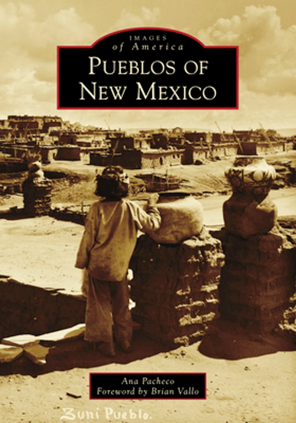 Pueblos of New Mexico by Ana Pacheco, Paperback, 9781467129428 | Buy ...