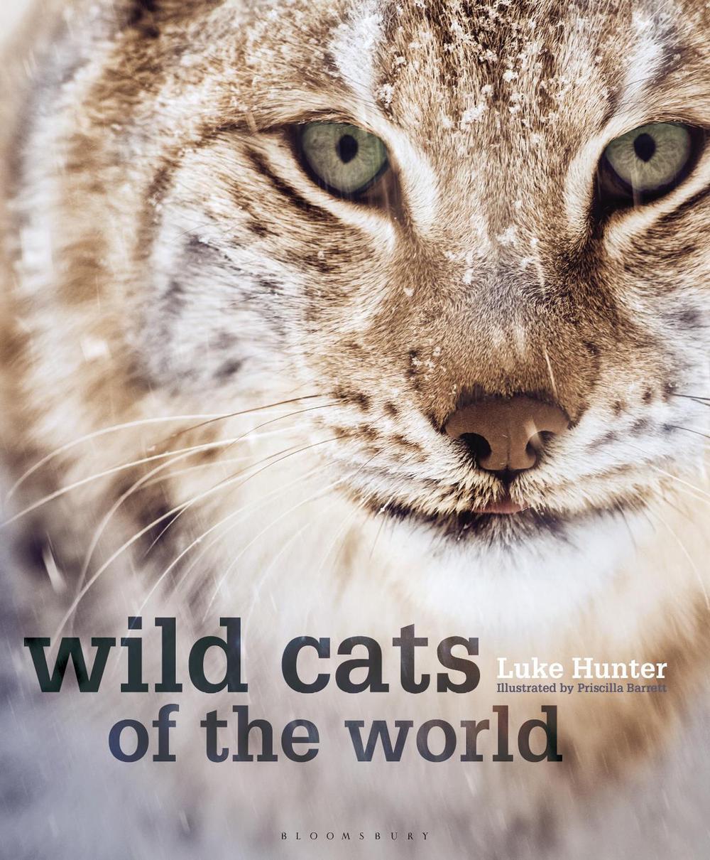 Wild Cats of the World by Luke Hunter, Hardcover, 9781472968265 | Buy ...