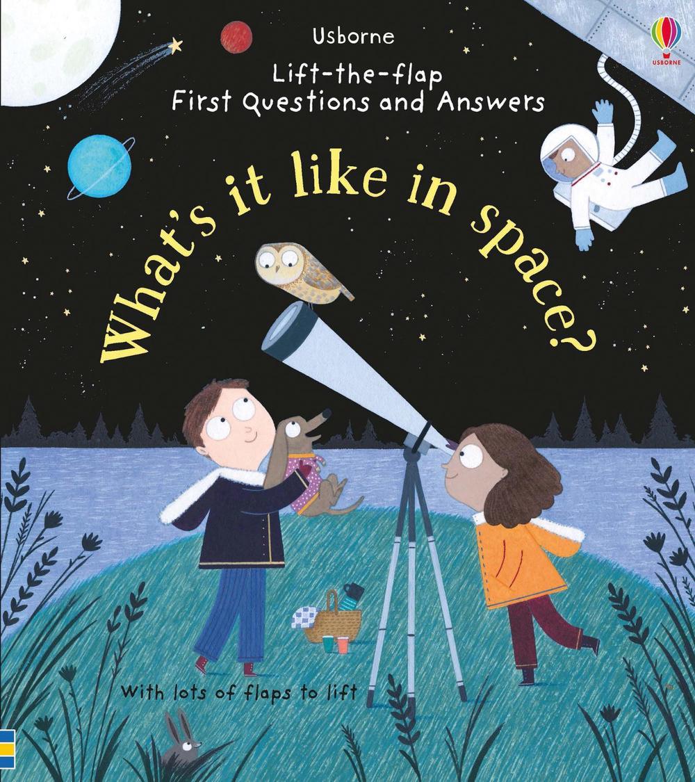 First Questions and Answers: What's it like in Space? by Katie Daynes ...
